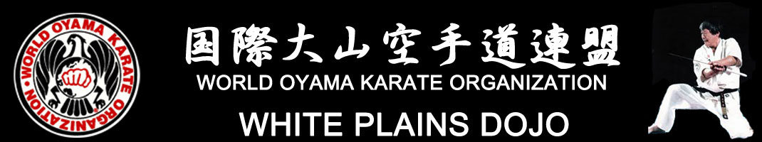DOJO NOW